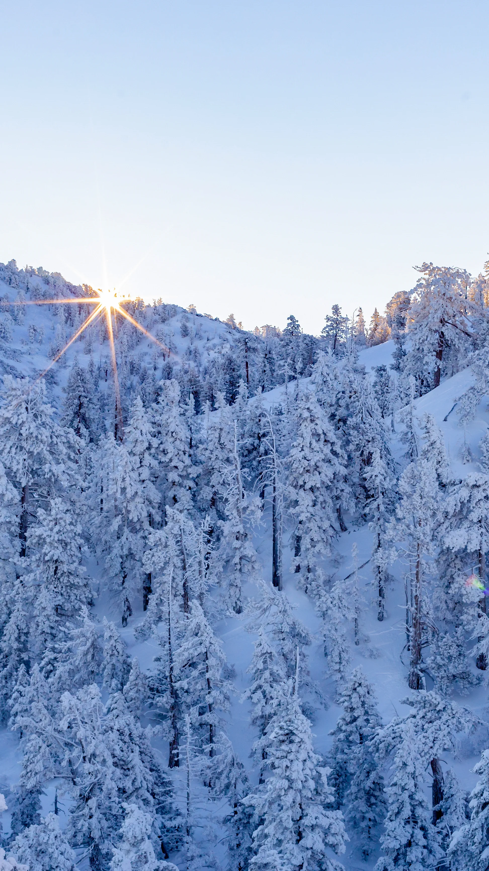 Free BBMR Device Backgrounds | Three Resorts, Fun Times