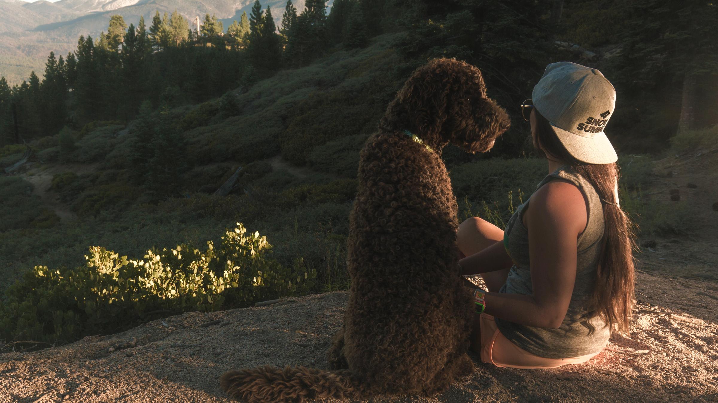 Plan a Trip to SoCal's Premier Year-Round Alpine Destination