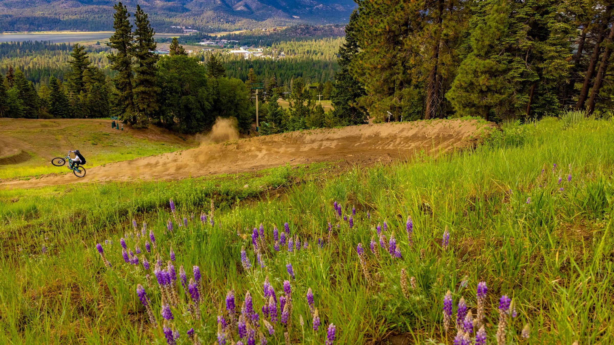 Snow Valley & Snow Summit Bike Park Lift Tickets | On Sale Now thru ...